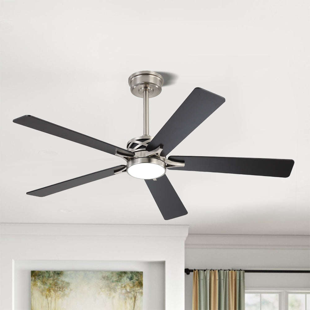 WINGBO Sparkle-Pro Smart Ceiling Fan with Lights 5 Plywood Blades Nick ...